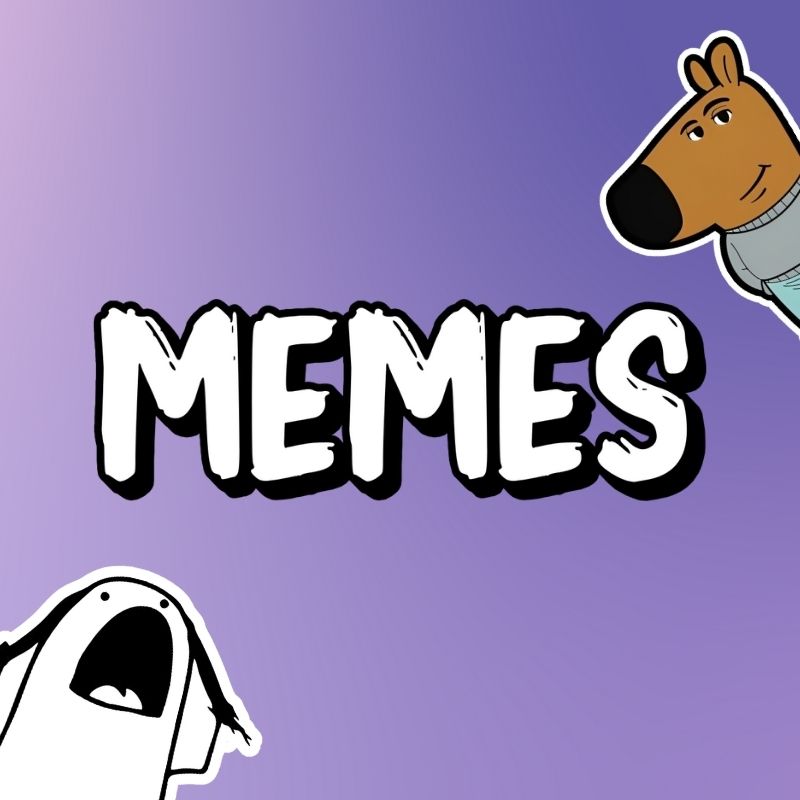 Memes Stickers – Aleena Gallery